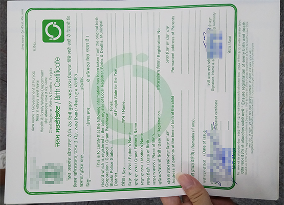Make A Birth Certificate From Punjab India Buy Birth Cert 
