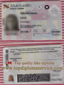 How can I apply for Maryland driver's license, buy Maryland ID card