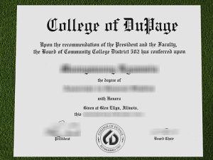 How long it takes to make a fake College of DuPage diploma