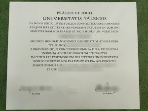 How a fake Yale University diploma looks like
