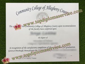 Reasons to buy a Community College of Allegheny County diploma