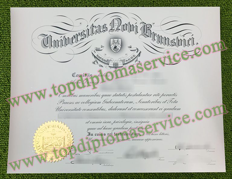 3 Unique ways to make a University of New Brunswick diploma