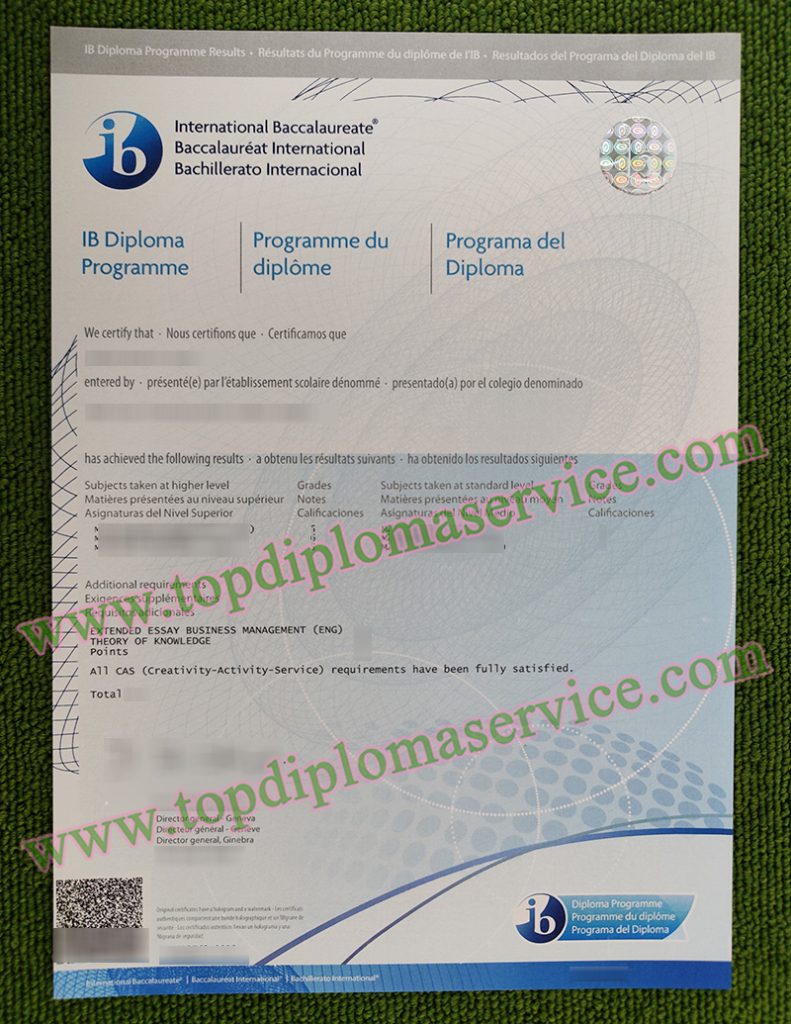 Unusual methods to get an IB Diploma transcript