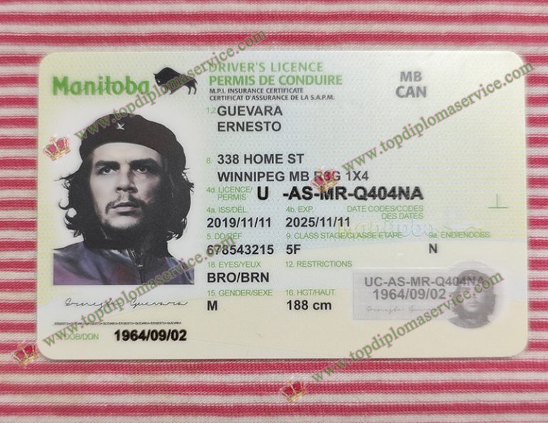 Unexpected ways to get a Manitoba driver's licence